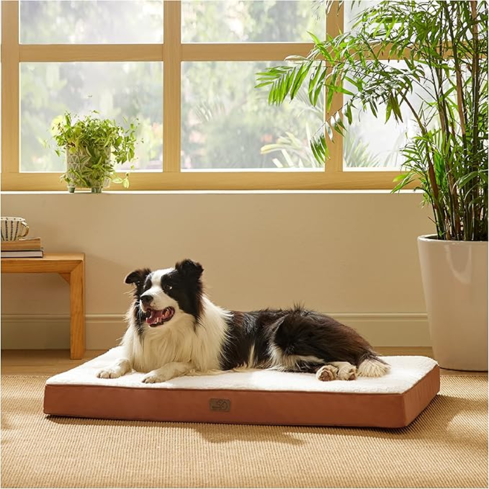 PET BEDS – Spoiled Pets Haven