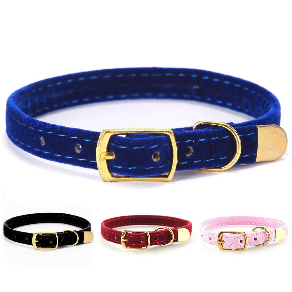 Products – Page 43 – Spoiled Pets Haven
