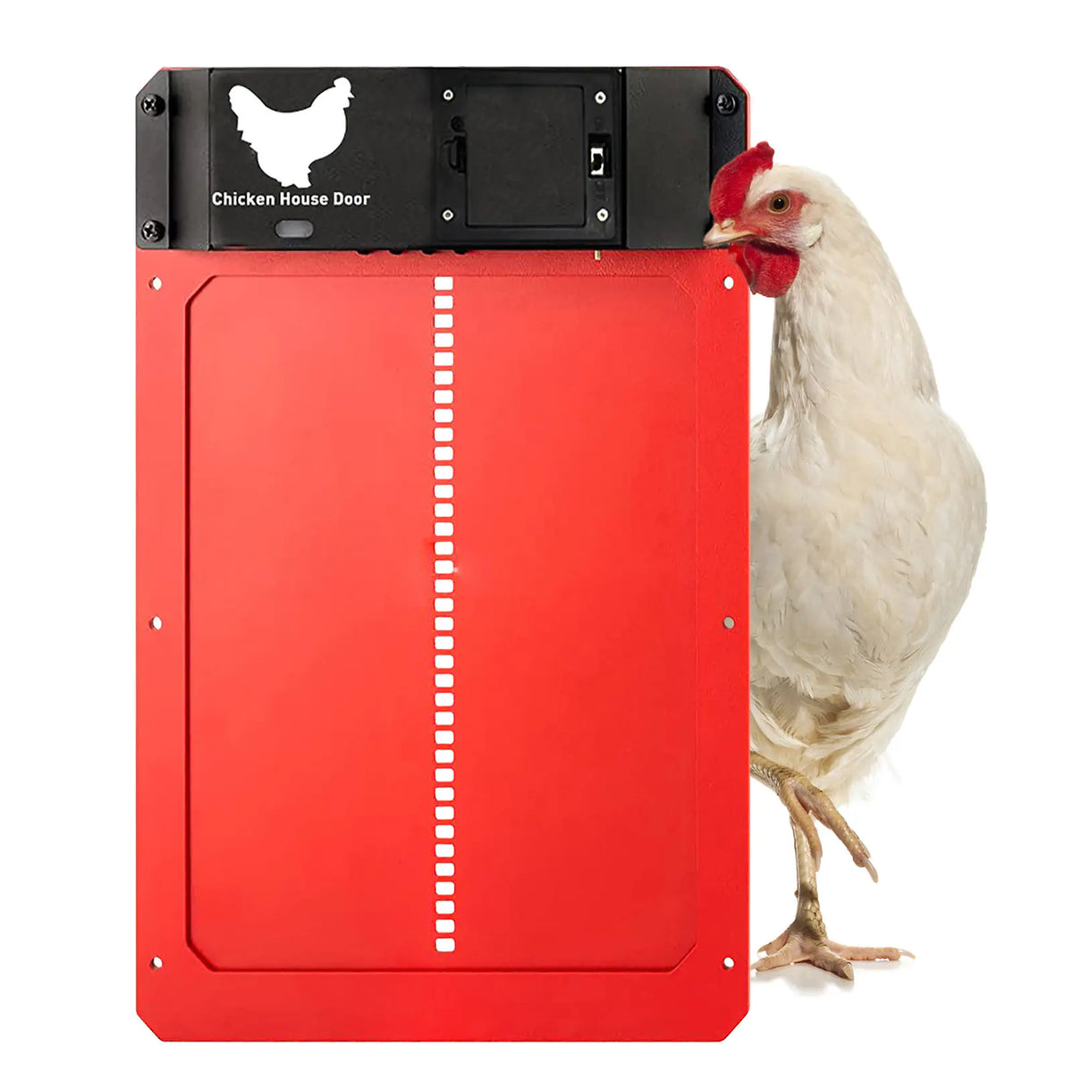 Automatic Chicken Coop Door – Spoiled Pets Haven
