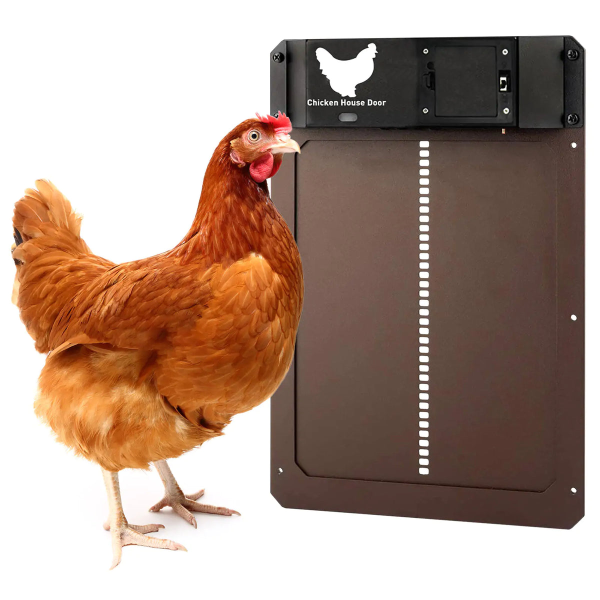 Automatic Chicken Coop Door – Spoiled Pets Haven